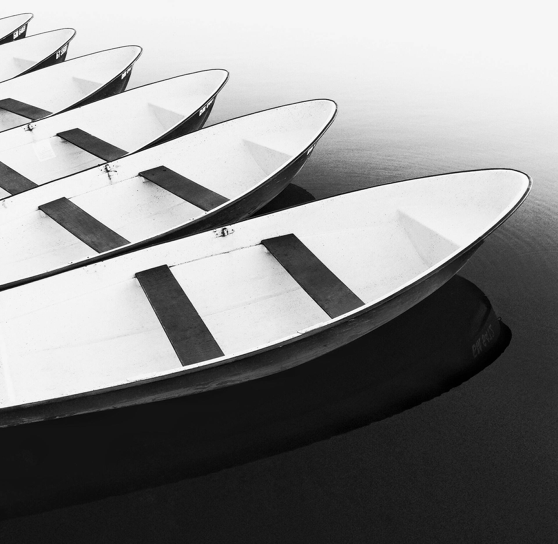 How to use focus peaking for maximum sharpness – Eventos UIO